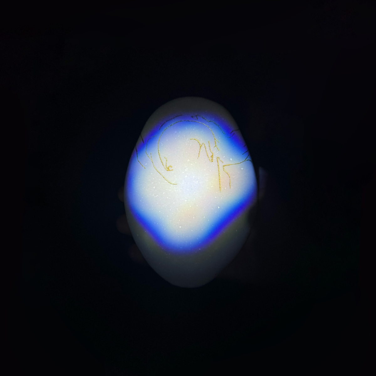 Donato Dozzy & Sabla - Donato Dozzy & Sabla – Morpho (Gang Of Ducks)