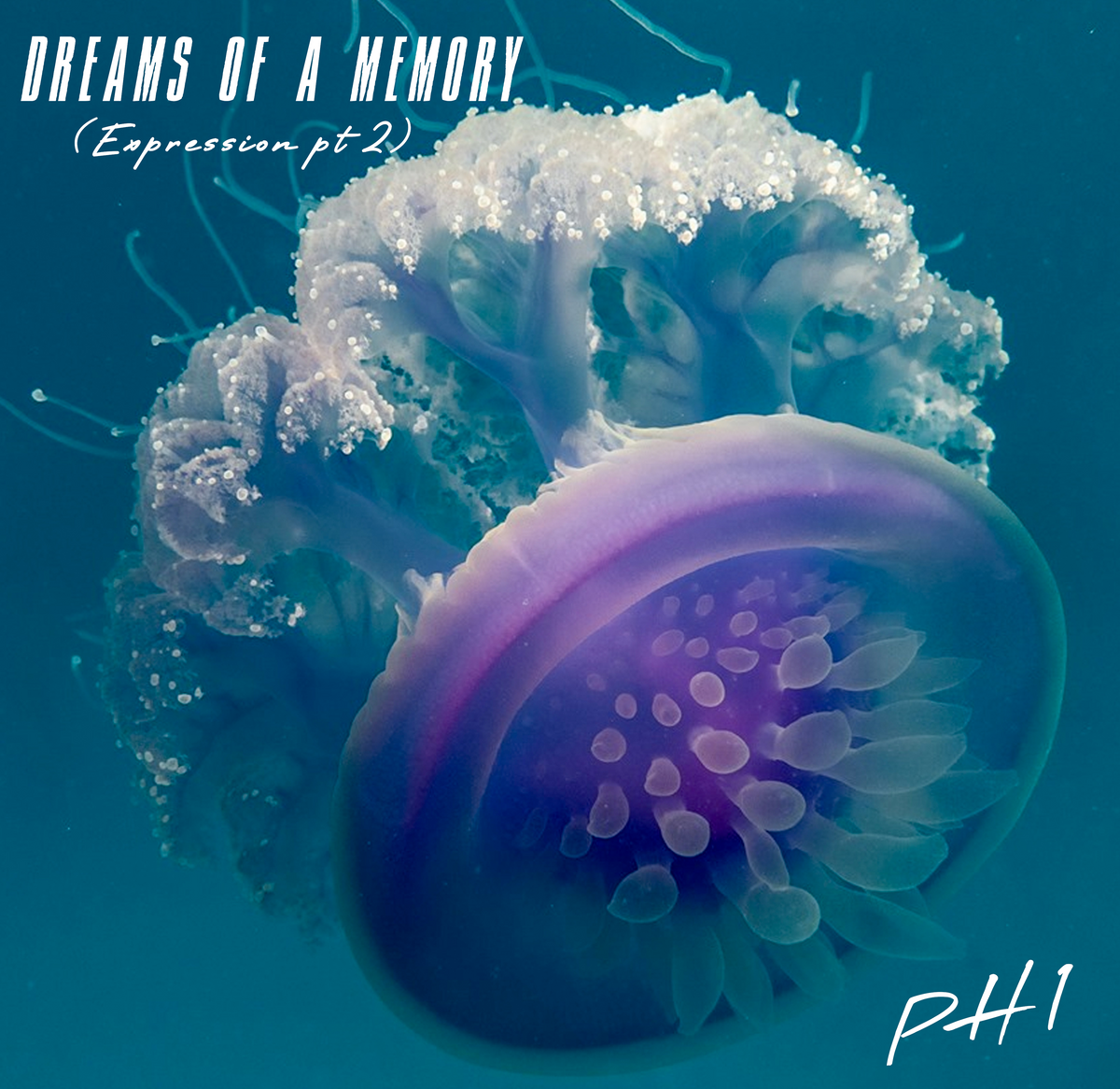 pH1 - Dreams Of A Memory