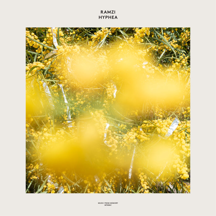 RAMZi - Hyphea